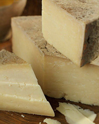 Fiscalini Cheese Company | ThinkUSAdairy by the U.S. Dairy Export Council